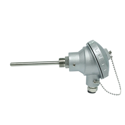 (2) Probes (Spring-loaded with Connection Head) – DNS